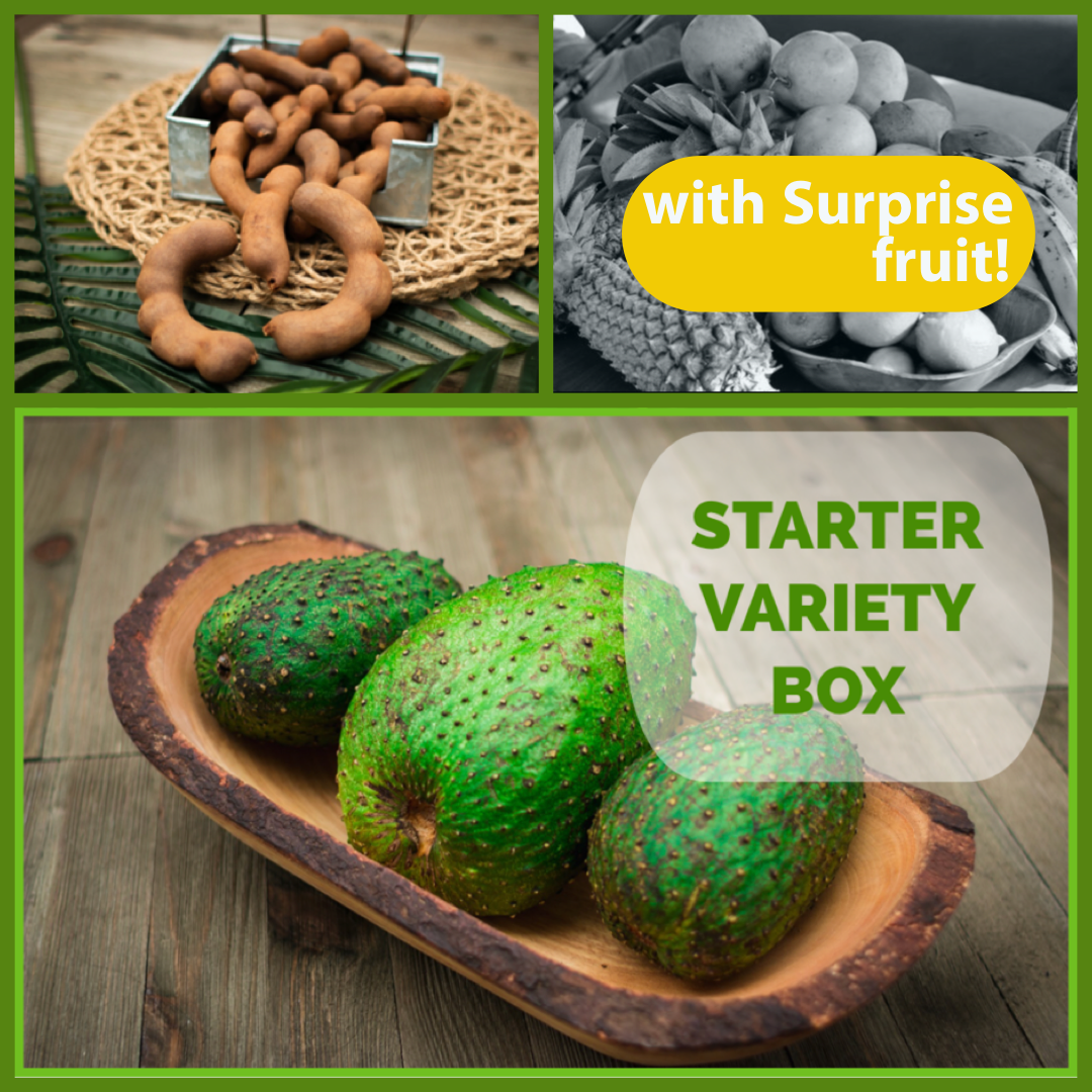 SOURSOP VARIETY BOX with SURPRISE FRUIT! | Samba Tree