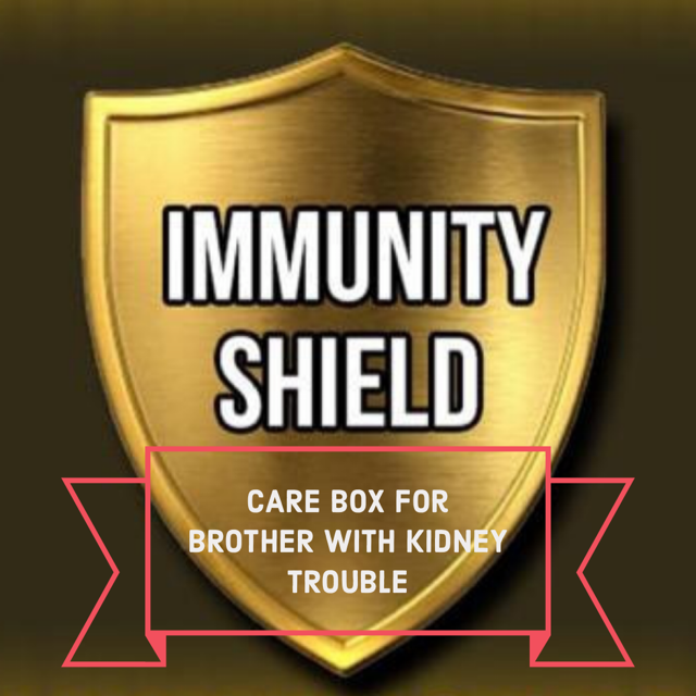 CARE BOX for BROTHER WITH KIDNEY TROUBLE | Samba Tree