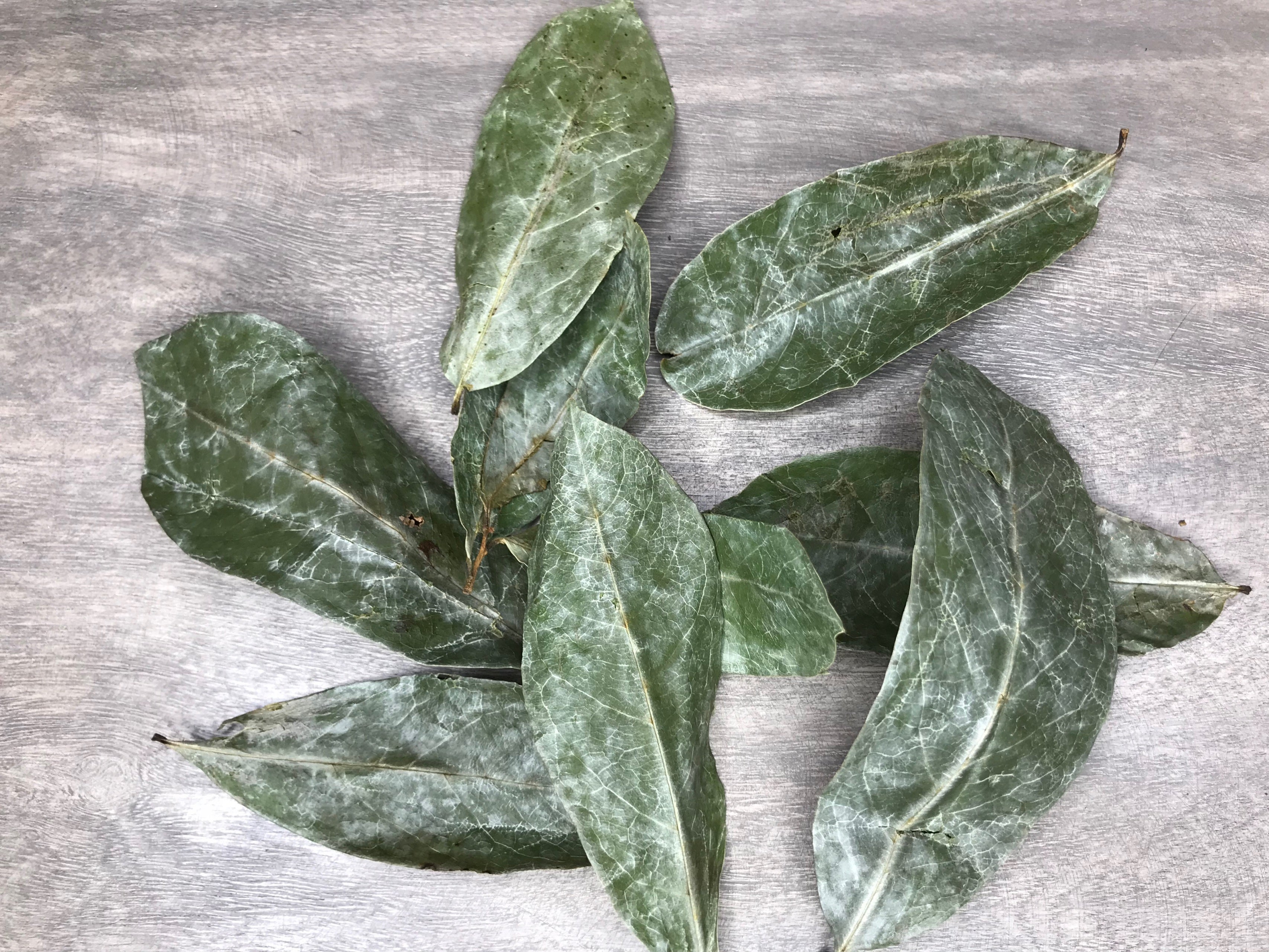 SOURSOP LEAVES | Samba Tree