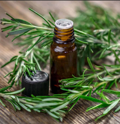 MOROCCAN ROSEMARY ESSENTIAL OIL (Food Grade) | Samba Tree