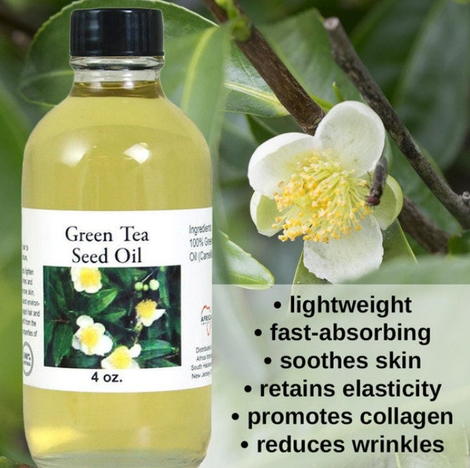 GREEN TEA SEED OIL | Samba Tree